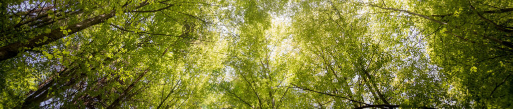 About Us - Climatize